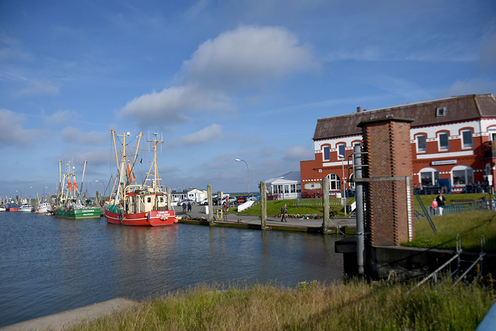 Ferienhaus Pellworm - Ferienwohnungen an der Nordsee: Pellworm